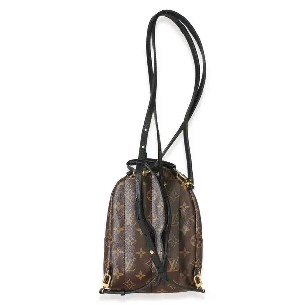 LOUIS VUITTON Monogram Canvas Palm Springs Backpack - Brown