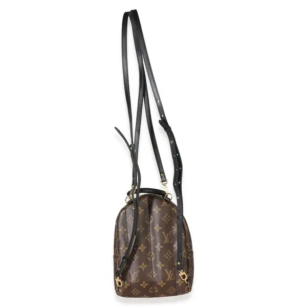 LOUIS VUITTON Monogram Canvas Palm Springs Backpack - Brown