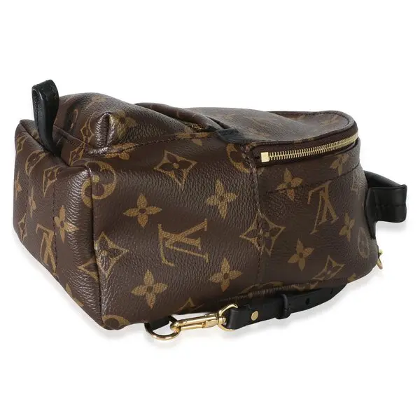 LOUIS VUITTON Monogram Canvas Palm Springs Backpack - Brown
