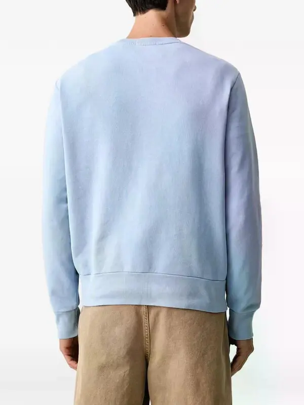 Polo Ralph Lauren Polo Pony-motif Sweatshirt - Blue
