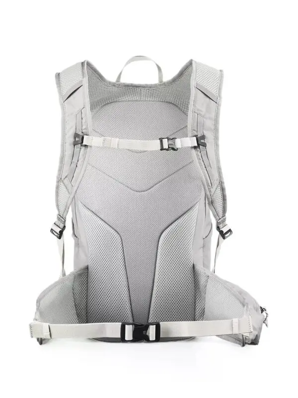 SALOMON Trailblazer 20 Backpack