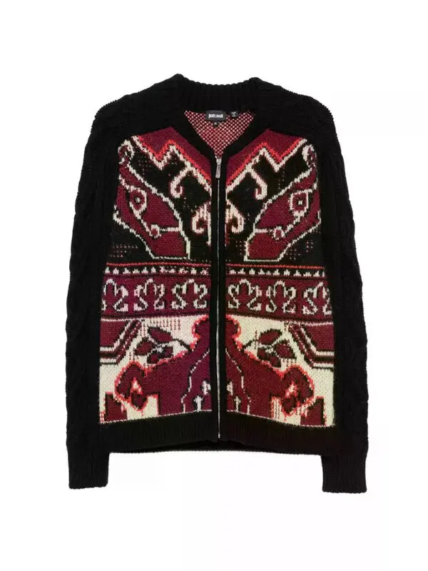 Roberto Cavalli 2000s Cable-knit Cardigan