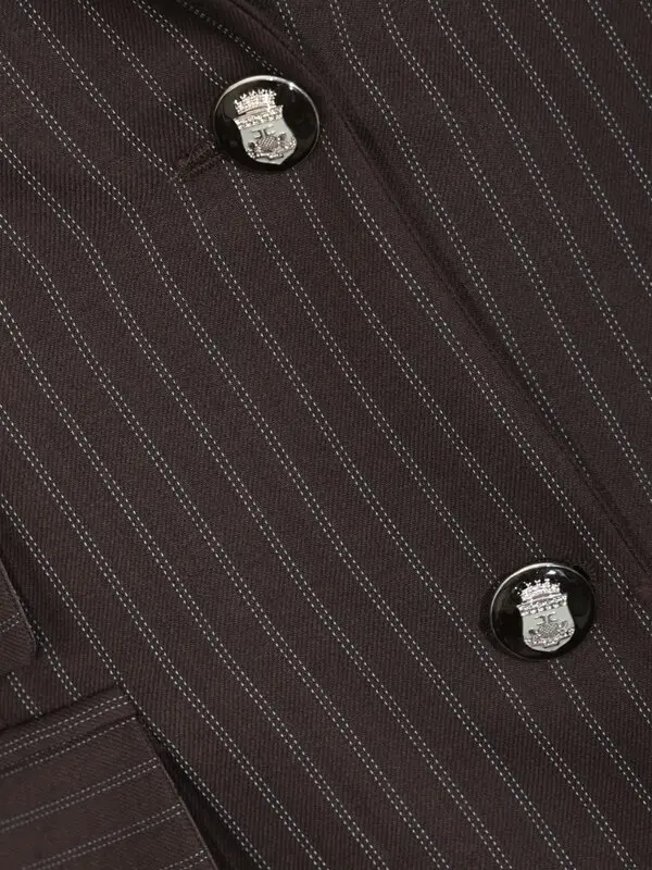 Elisabetta Franchi Single-breasted Wool Blend Pinstripe Blazer - Brown