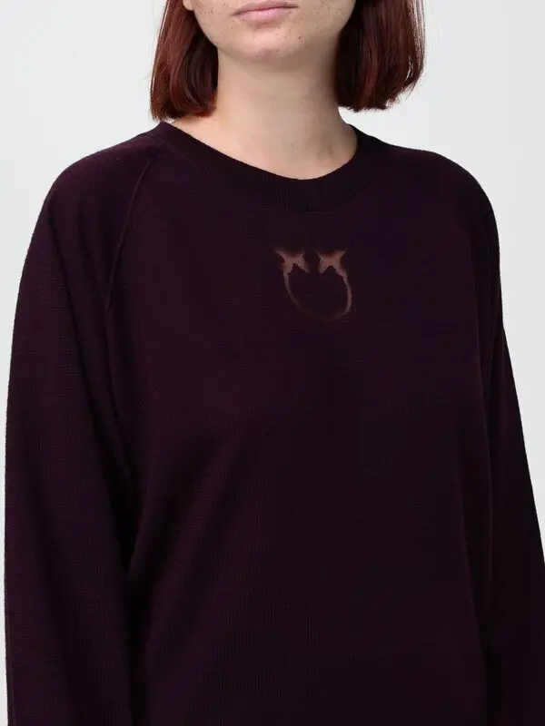Pinko Sweater