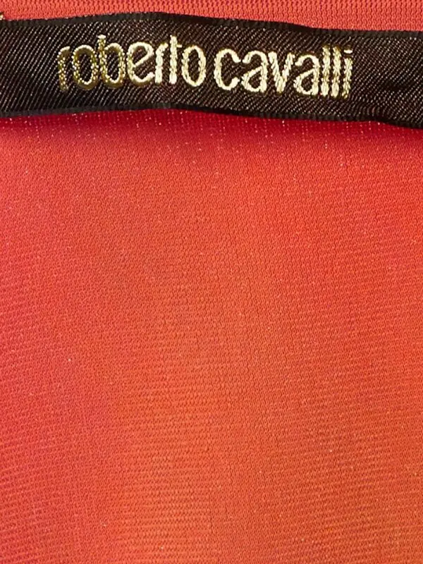 Roberto Cavalli V-neck Mini Dress