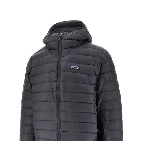 Patagonia Down Weater' Hooded Jacket