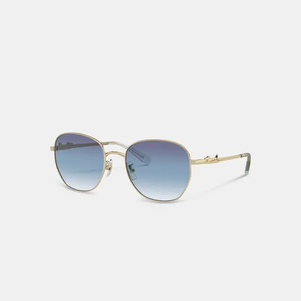 COACH OUTLET Script Round Sunglasses - Gold/blue