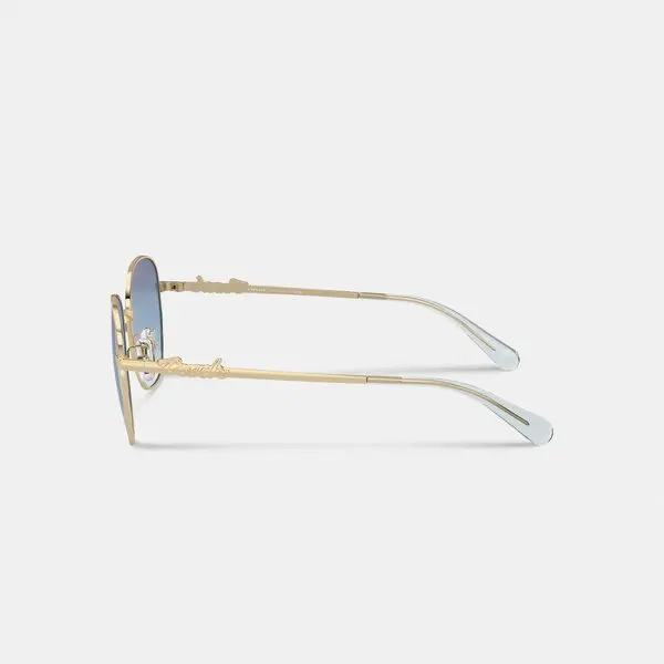 COACH OUTLET Script Round Sunglasses