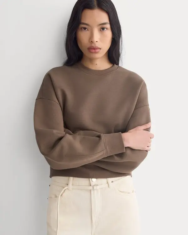 Everlane Oversized Cocoon Crew In Elevated Cotton - Deep Taupe
