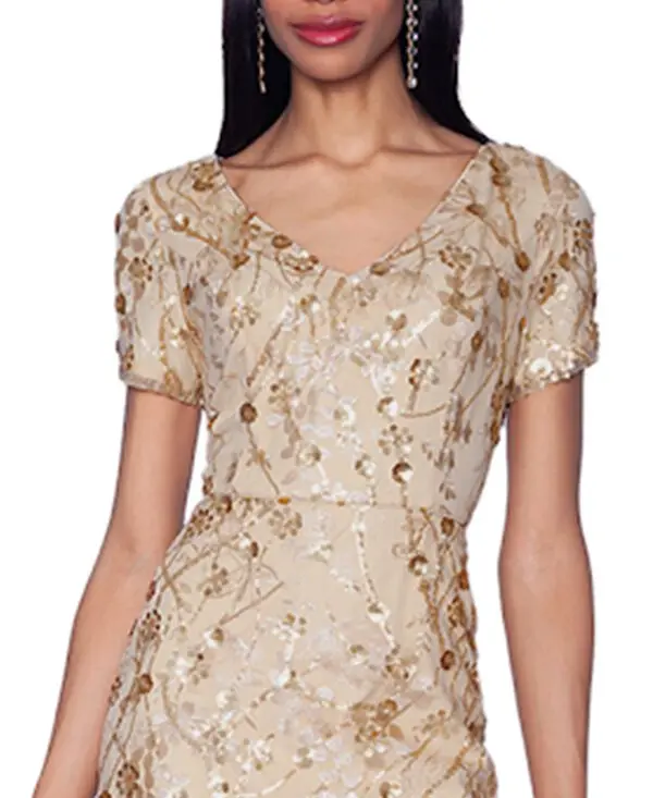 Shani V-neck Embroidered Gown