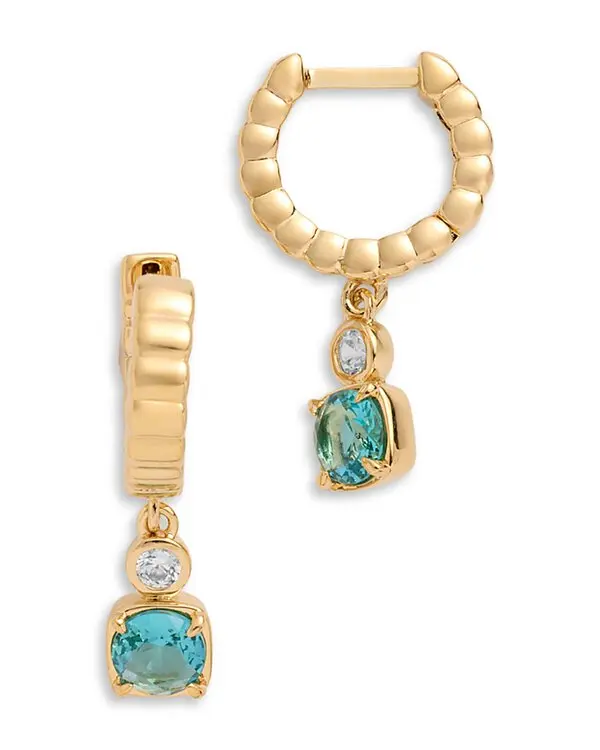 Nadri Delancey Small Charm Hoop Earrings