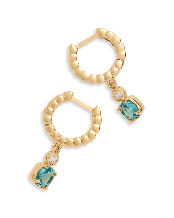 Nadri Delancey Small Charm Hoop Earrings