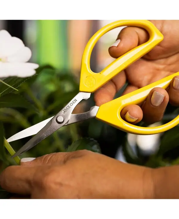 JOYCE CHEN Original Unlimited Kitchen Scissors, 3.25 L X 0.4 W X 6.3 H - Yellow