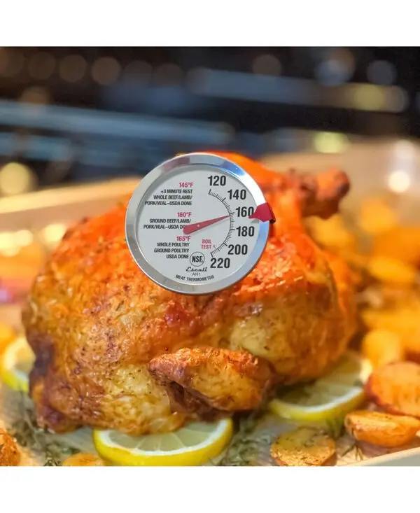 ESCALI Oven Safe Meat Thermometer, 2.25 L X 2.25 W X 5 H