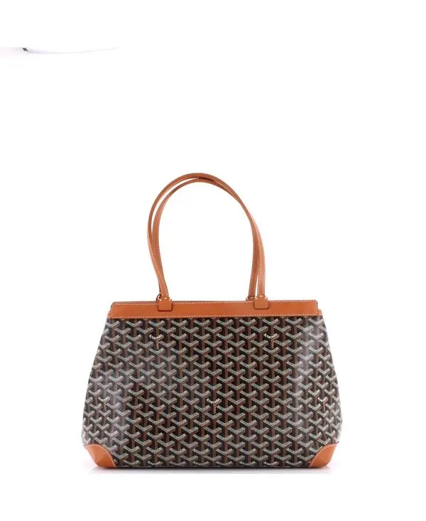 Goyard Pm Bellechasse Bag Coated Canvas