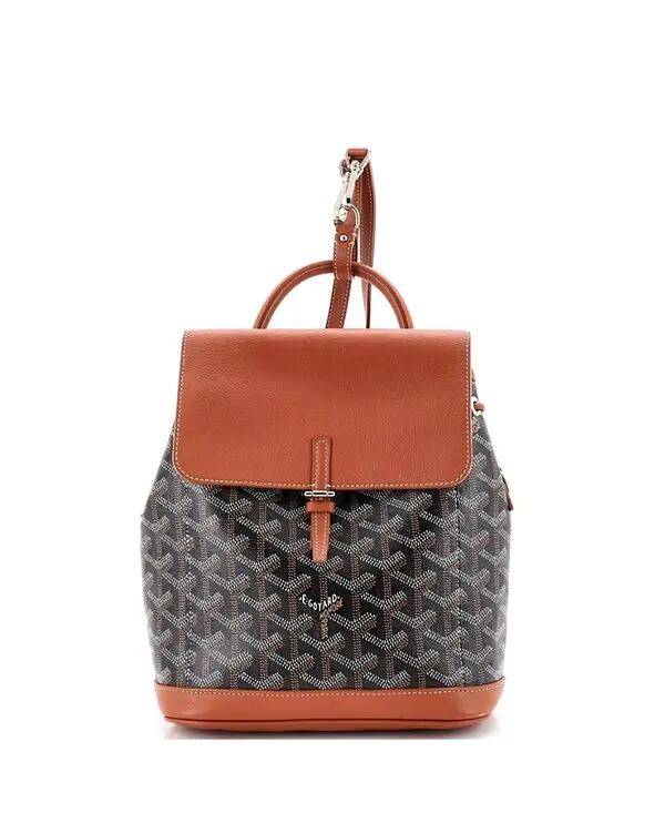 Goyard Alpin Backpack Coated Canvas
