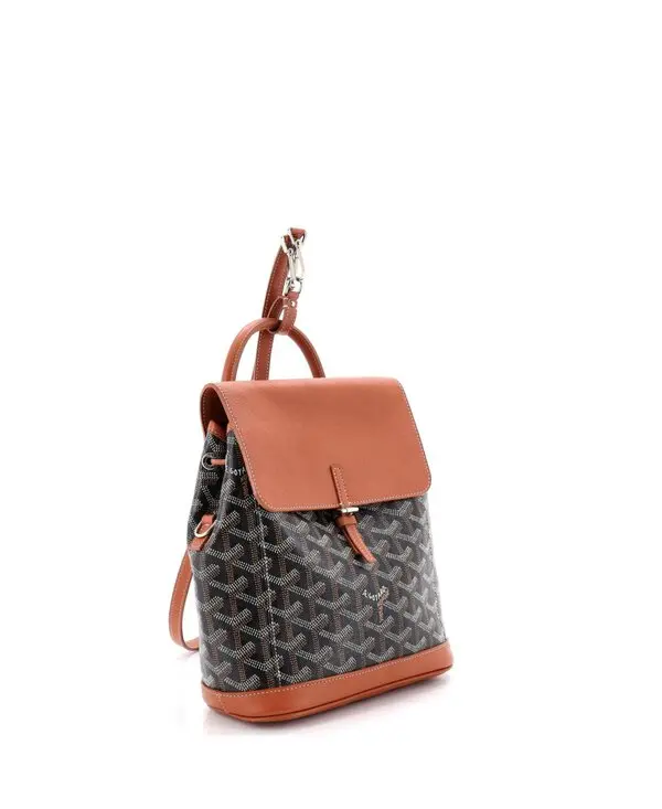 Goyard Alpin Backpack Coated Canvas