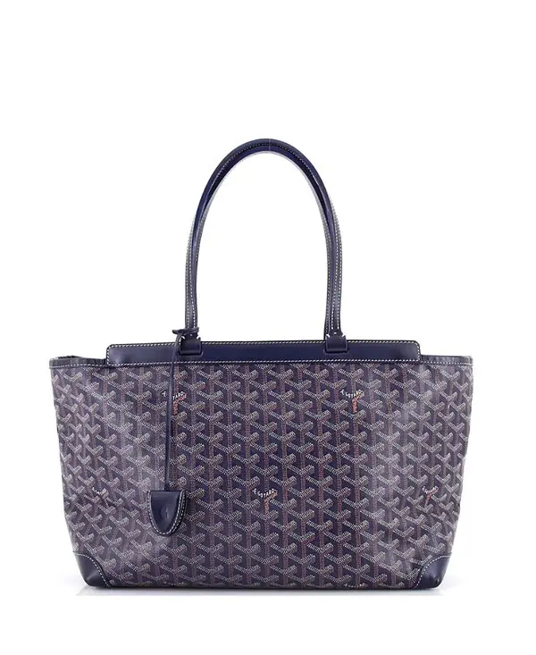 Goyard Pm Bellechasse Bag Coated Canvas