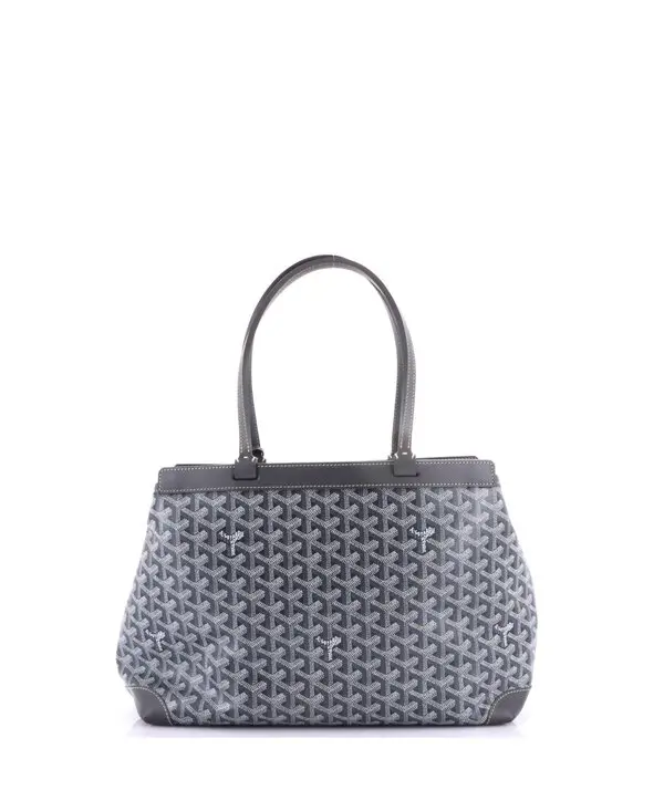 Goyard Pm Bellechasse Bag Coated Canvas