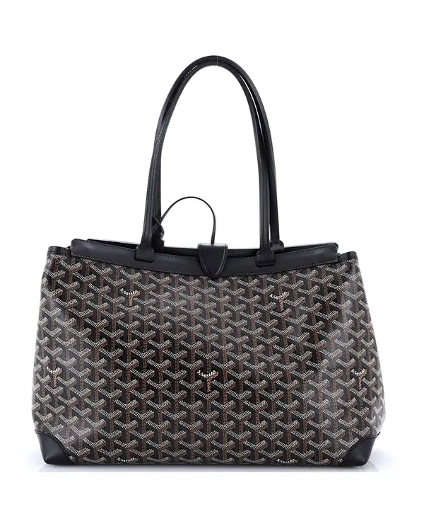Goyard Pm Bellechasse Bag Coated Canvas