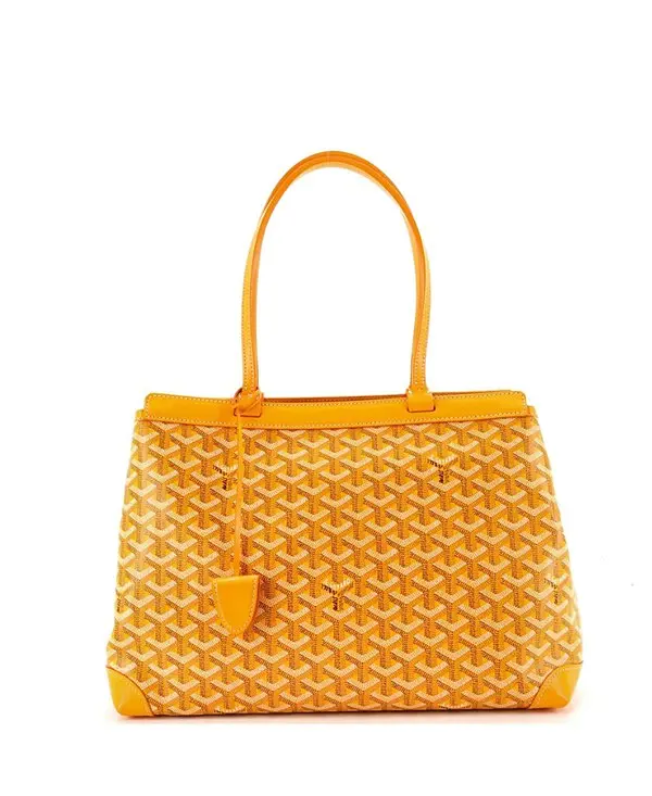 Goyard Pm Bellechasse Bag Coated Canvas