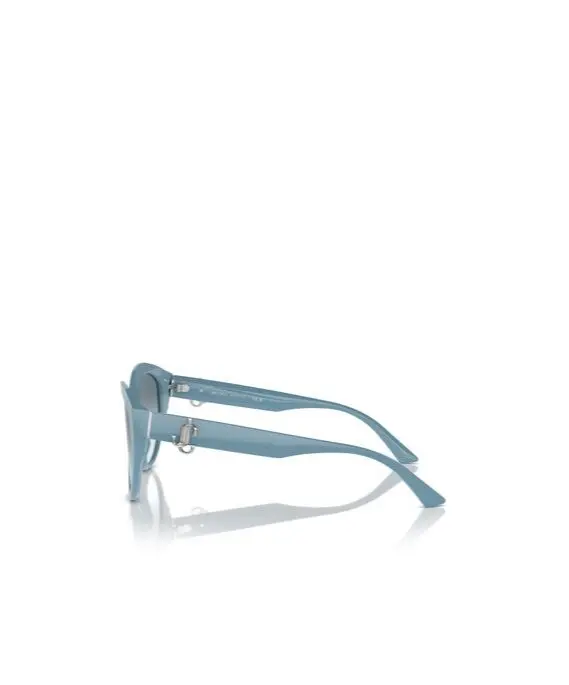 JIMMY CHOO Cat Eye Frame Sunglasses