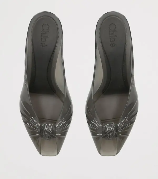 Chloé Jelly Heeled Mules 30