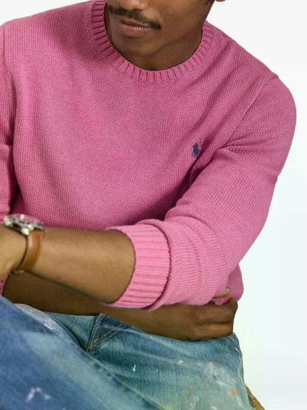 Polo Ralph Lauren Pony Embroidered Sweater