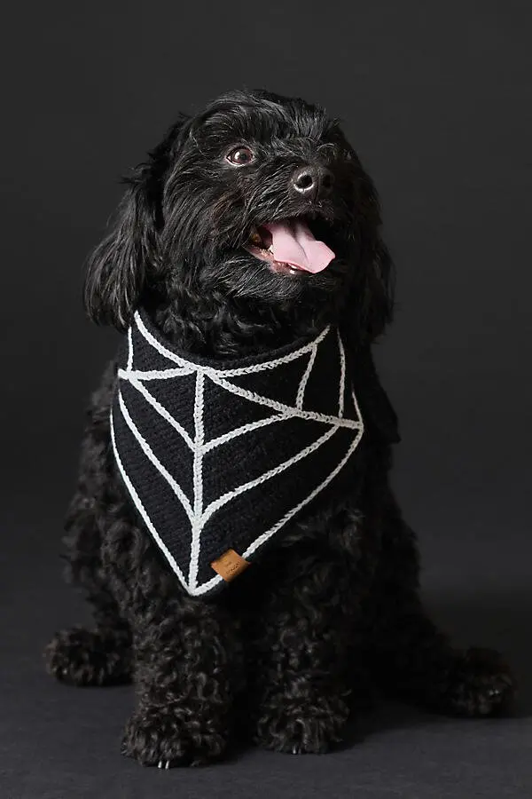 THE FOGGY DOG Spiderweb Crochet Pet Bandana - Black