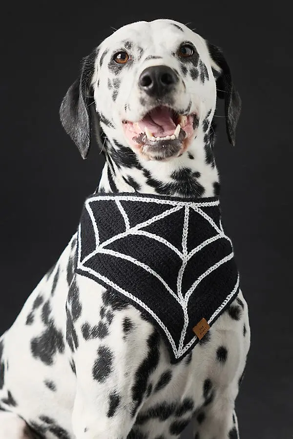 THE FOGGY DOG Spiderweb Crochet Pet Bandana