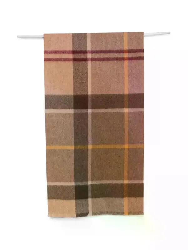 Barbour Check-pattern Fringed Scarf