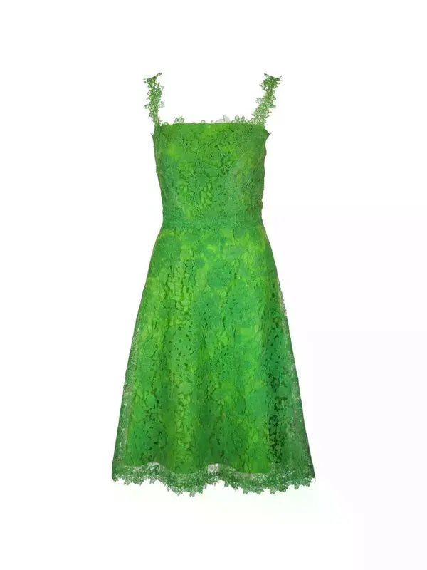 Carolina Herrera Hydrangea Guipure-lace Midi Dress - Green