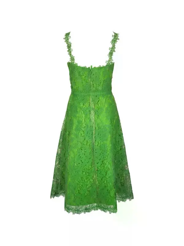 Carolina Herrera Hydrangea Guipure-lace Midi Dress