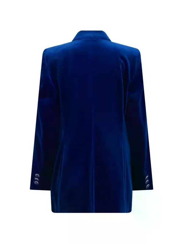 Alberta Ferretti Double-breasted Velvet Blazer