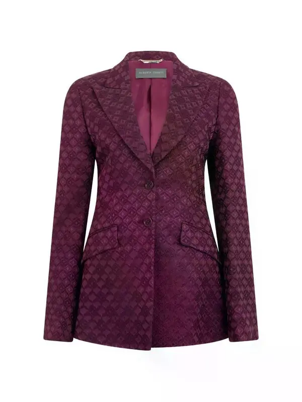 Alberta Ferretti Jacquard Fitted Jacket