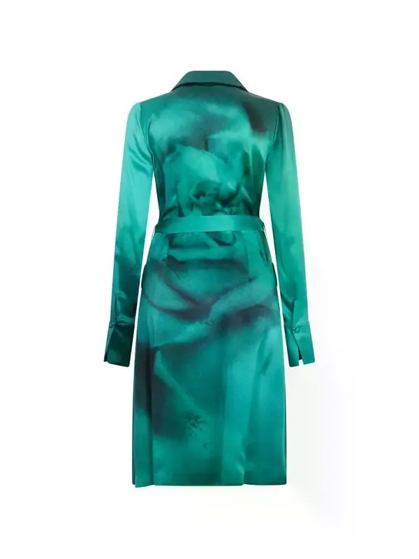 Alberta Ferretti Long Sleeve Wrap Dress