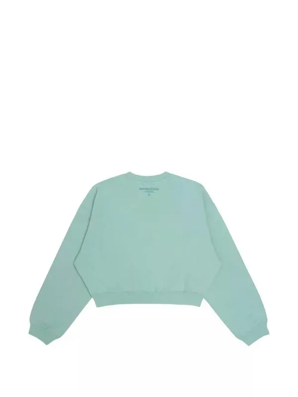 AAPE BY *A BATHING APE Moonface Embroidered Cropped Sweater - Green