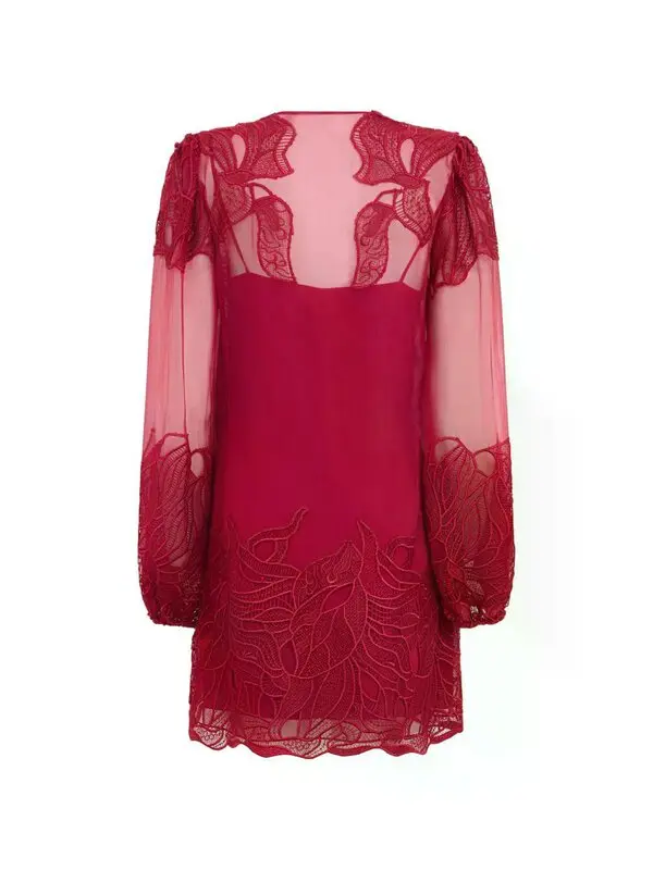 Alberta Ferretti Sheer Sleeve Mini Dress