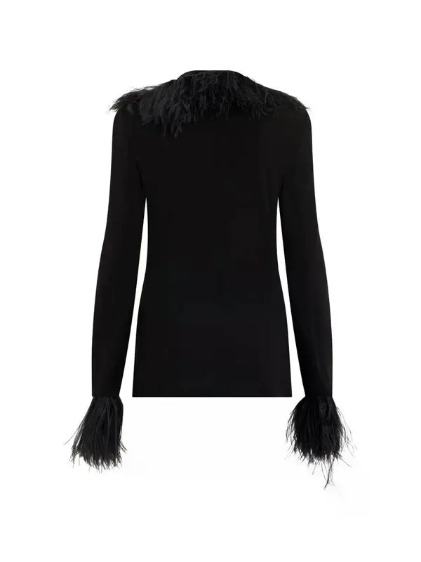Alberta Ferretti Feather-trim Lapel-neck Blazer