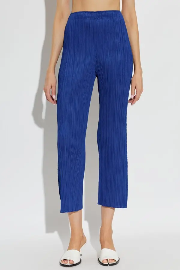 Issey Miyake Pleated Trousers