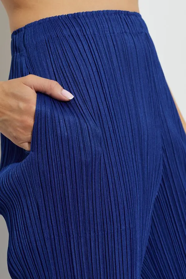 Issey Miyake Pleated Trousers
