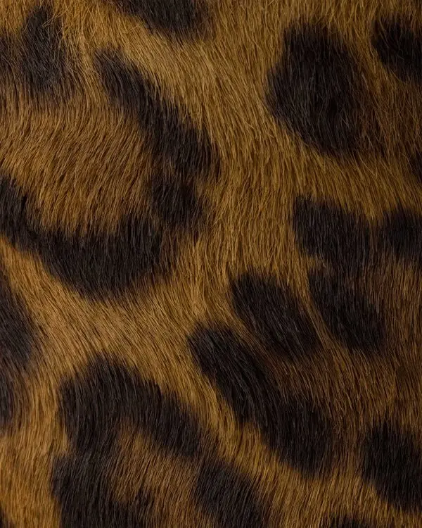 Prada Leopard-print Leather Mules - Honey-colored