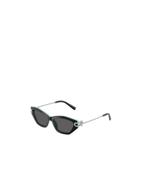 TIFFANY  CO. Tiffany & Co. Cat Eye Frame Sunglasses