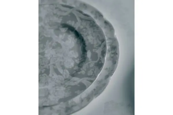 Dior Printed Porcelain Dinner Plate