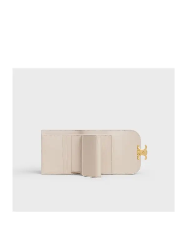 Celine Small Flap Wallet Triomphe In Lizard