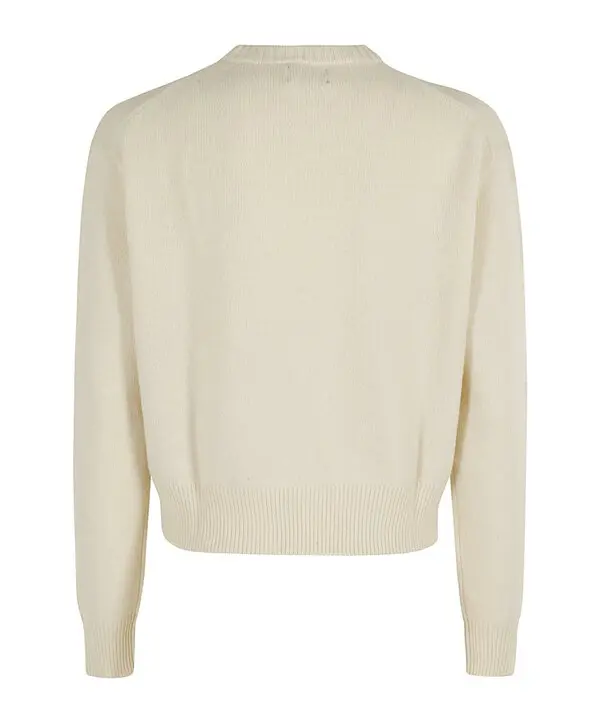 Polo Ralph Lauren Cropped Crewneck Jumper