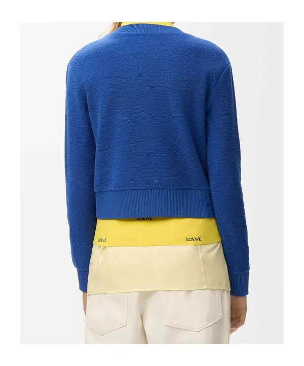 Loewe Long-sleeved Wool Knit Top