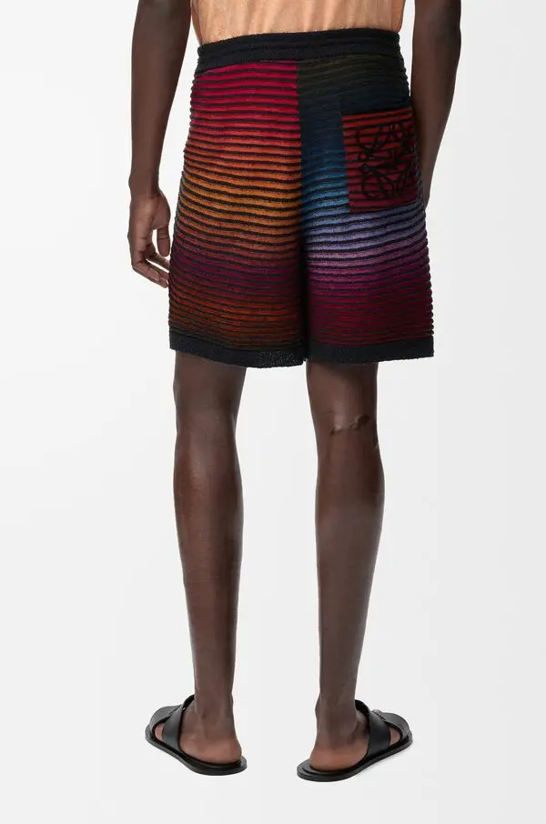 Loewe Drawstring Shorts With Ribbed Hem