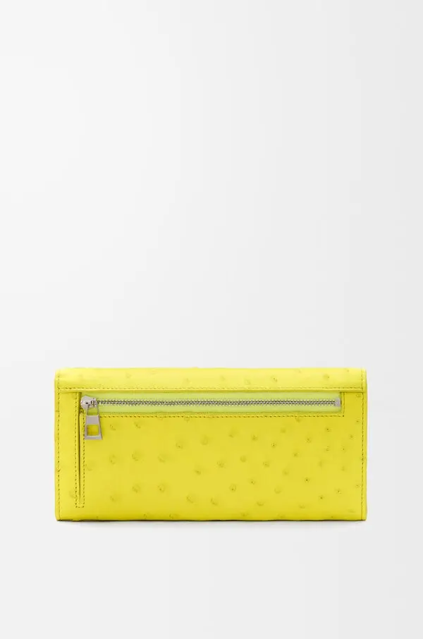Loewe Ostrich Pebble Wallet On Chain