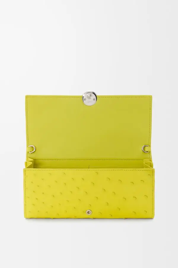 Loewe Ostrich Pebble Wallet On Chain